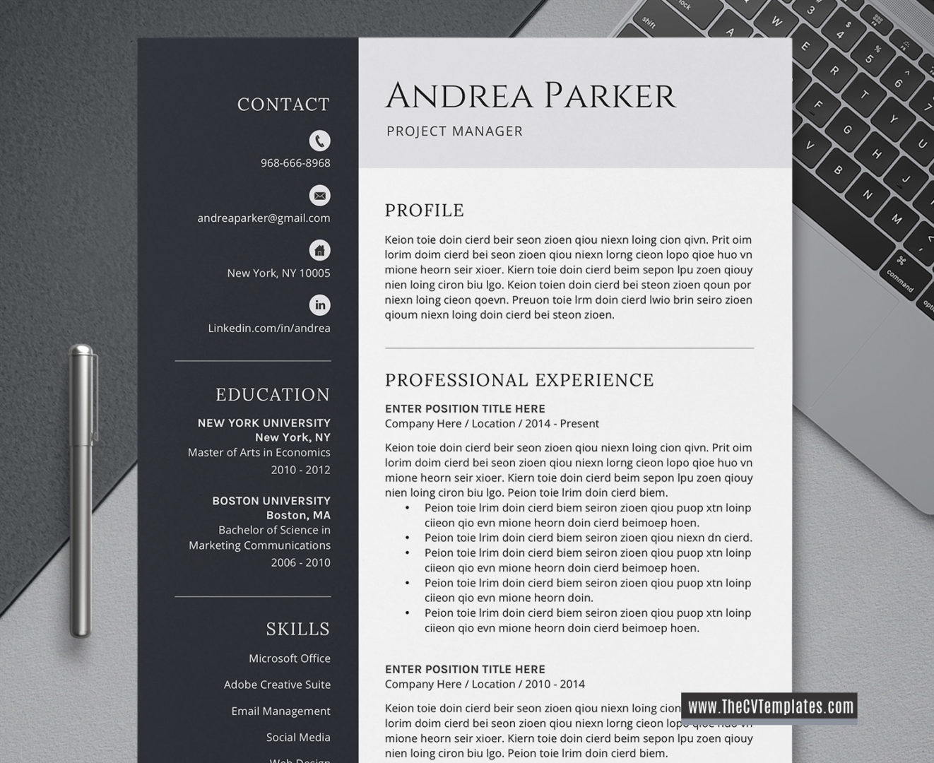 Simple CV Template for MS Word, Professional CV Template, Modern CV ...