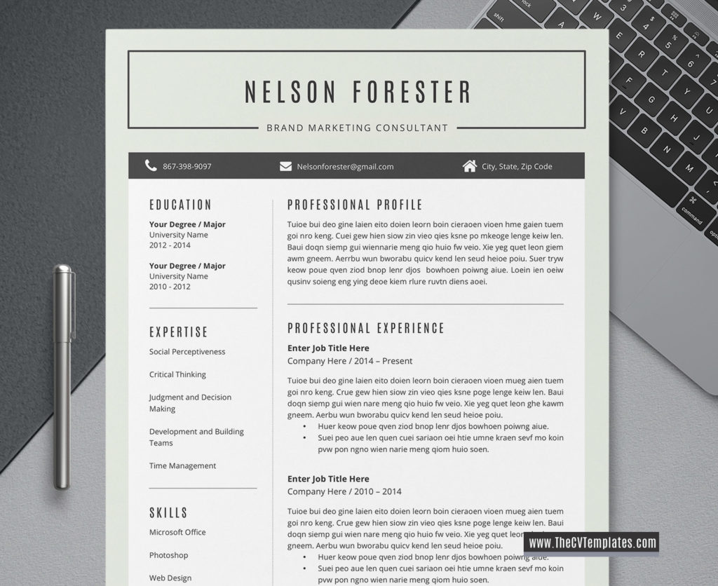 CV Templates without Photo (MS Word) – TheCVTemplates.com